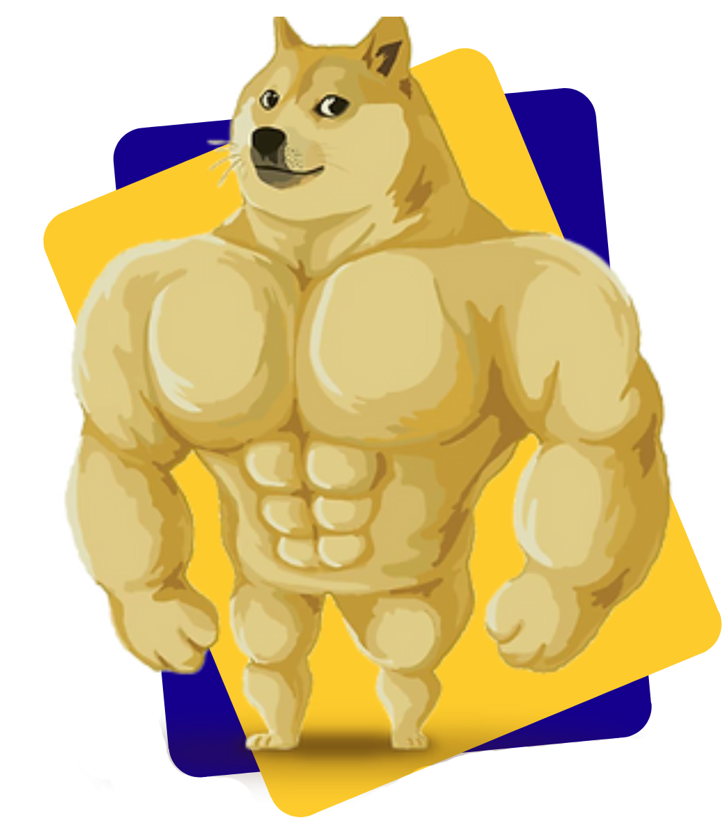 BUFF DOGE COIN THE KING OF MEMES